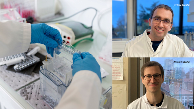 Genethon evaluates a new therapeutic approach for glycogen storage ...