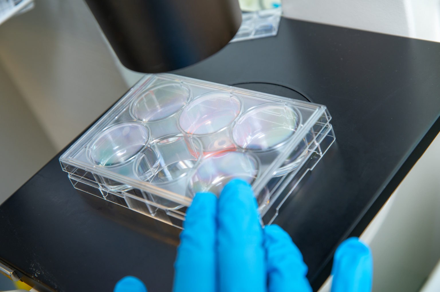 Understanding gene therapy